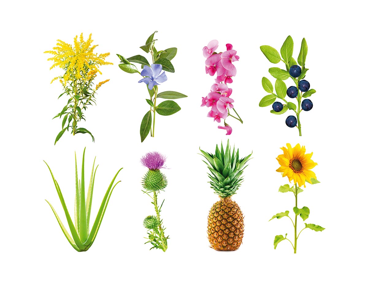 Grow Anything Pflanzenschoten 9er Pack Click And Grow Eu